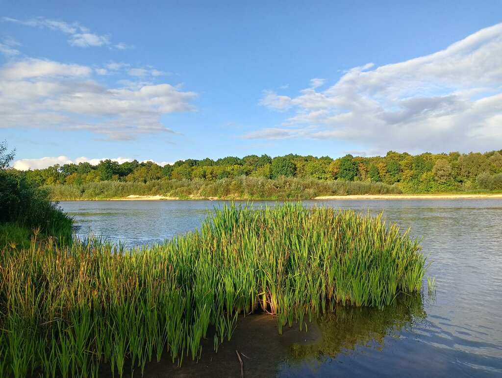 Plaj Дубравский пляж, Alatyr, foto