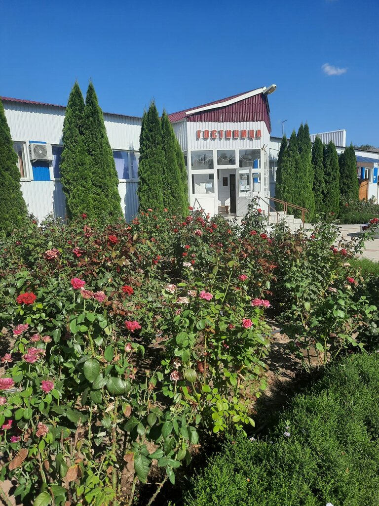 Otel Yevgeniya, Volgogradskaya oblastı, foto