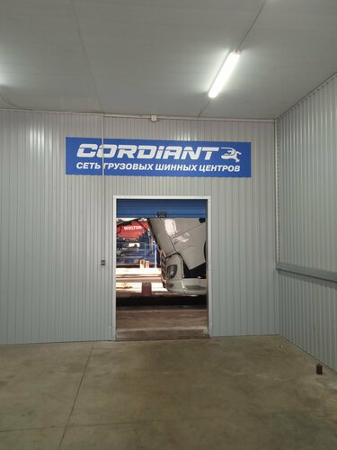 Otomobil servisi RTA and Cordiant Professional, Briansk, foto