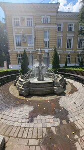 Fountain (Bolshaya Pirogovskaya Street No:2с4), çeşme  Moskova'dan