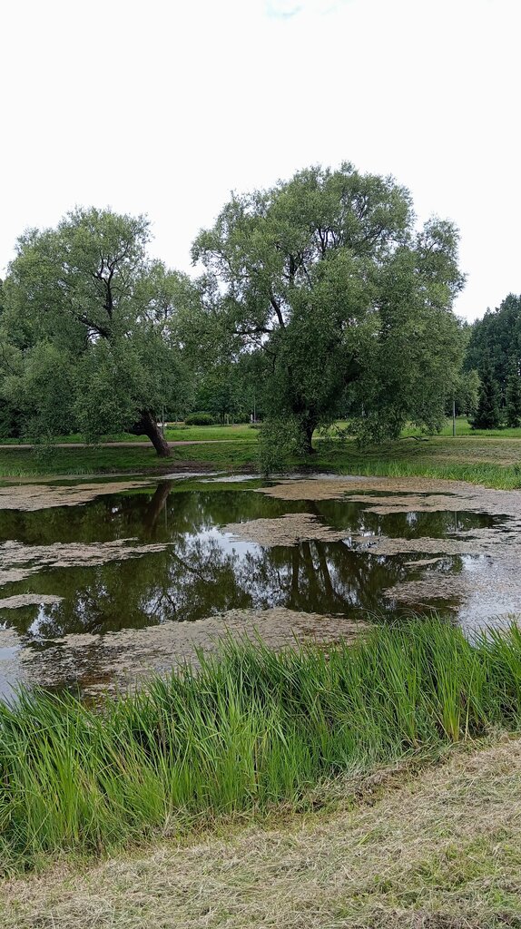 Pınar, çay Spring, stream, Saint‑Petersburg, foto
