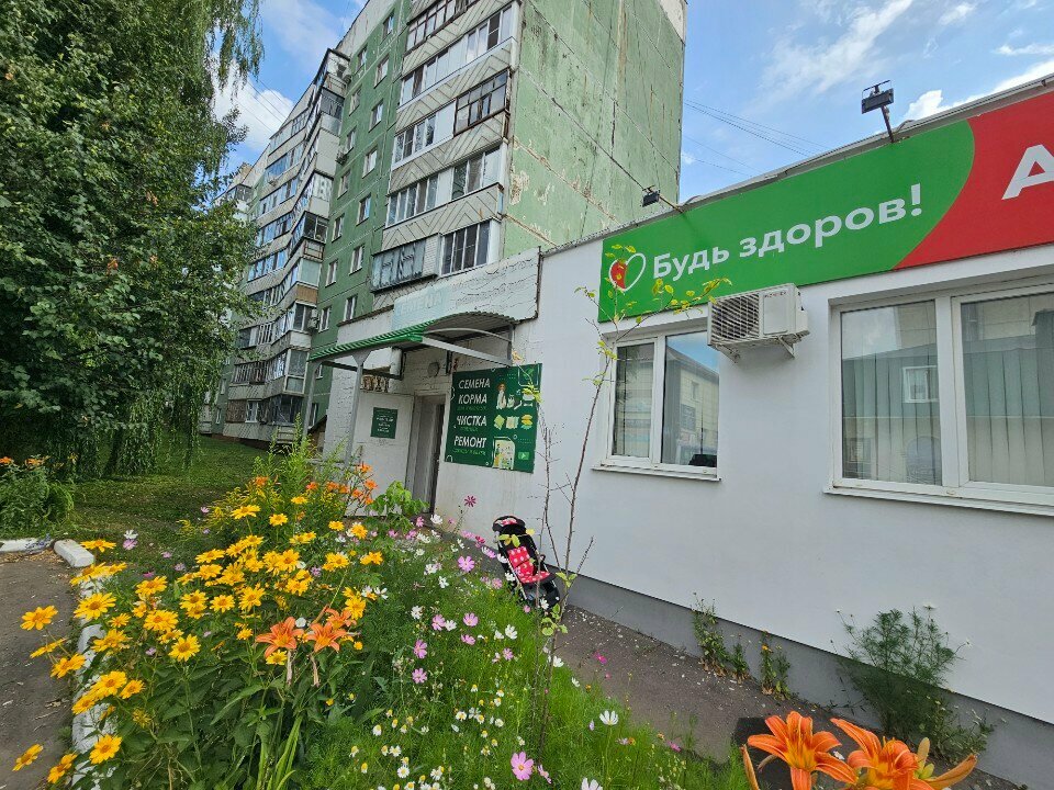 Kuru temizlemeciler Чистка подушек, Orel, foto