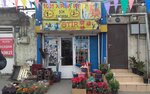1001 Khirdavat (Сity ​​of republican subordination Baku, Yasamal, Abbas Mirzе Sеrifzadе Street, 169), mini-market  Bakü'den