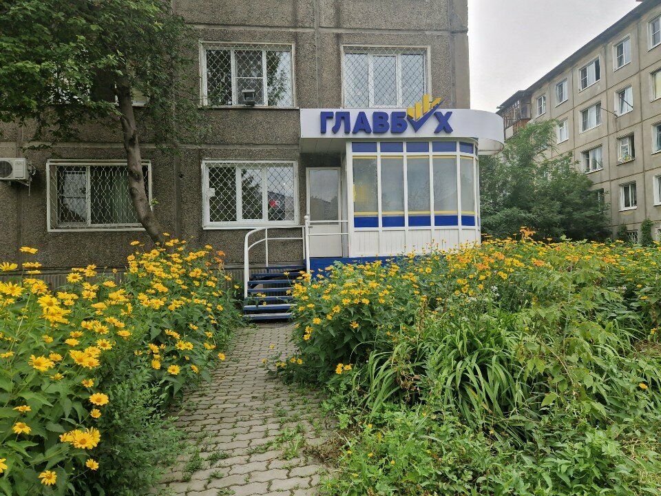 Muhasebeciler Glavbuh at Taplink, Öskemen (Ust‑Kamenogorsk), foto