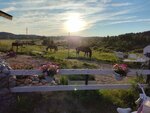 Конюшенный двор (Zaozyornaya ulitsa No:33), resort oteller, tesisler  Lahdenpohya'dan