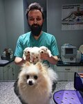 Myd Veteriner Kliniği (Sakarya, Serdivan, Kemalpaşa Mah., Nişancı Sok.), veteriner klinikleri  Serdivan'dan