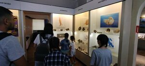 Museum (Shkolnaya ulitsa No:5А, selo Undory), müzeler ve sanat galerileri  Ulyanovskaya oblastından
