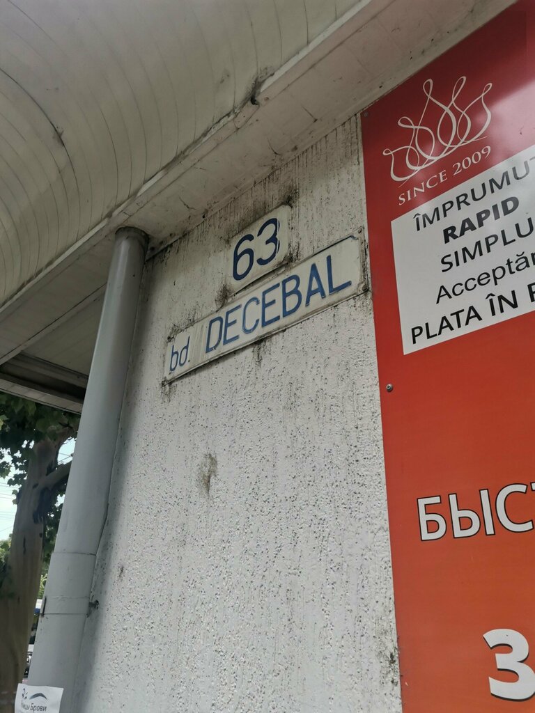 Ağda Honey Bunny, Kişinev, foto