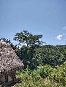 Caña Brava Lodge (Departamento de San Martín, Provincia de San Martín, Tarapoto), otel  Tarapoto'dan