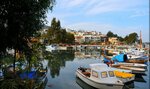 Başar Balıkçılık (Severcan Cad., No:8, Bodrum, Muğla), balık ve deniz ürünleri  Bodrum'dan