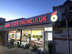 Beypiliç (Kocaeli, Gebze, Osman Yılmaz Mah., Mehmet Akif Ersoy Cd. 626. Sok No:34), kanatlı hayvan ürünleri ve yumurta  Gebze'den