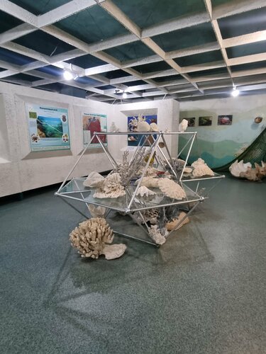 Müzeler ve sanat galerileri Museum of the State Far Eastern Marine Reserve, Primoriye, foto