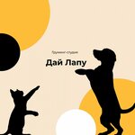 Give Me a Paw (Stasova Street No:130), evcil hayvan kuaförleri  Krasnodar'dan