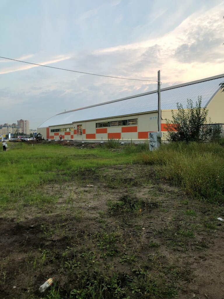 Spor kulüpleri Невские медведи, Saint‑Petersburg, foto