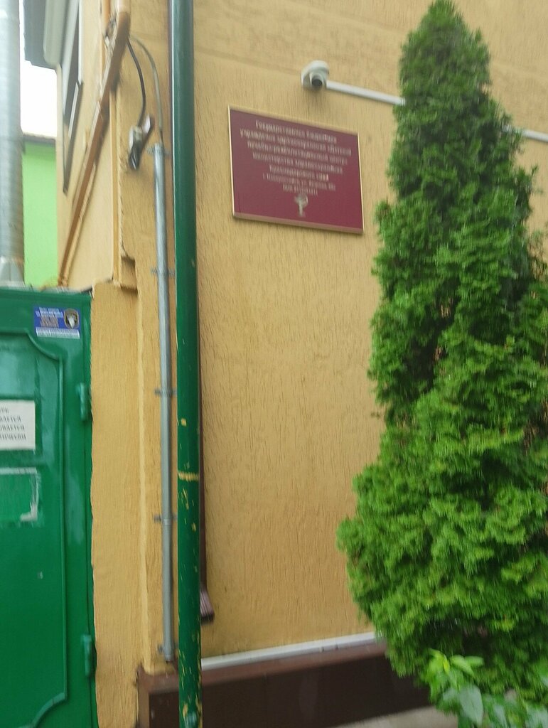 Termal otel Gbuz DTsMR № 2, Novorossiysk, foto