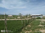 Некбахт Нурали (Sughd Province, rayon Devashtich, dzhamoat imeni Ismoila Somoni, selo Kadzhrovut), stil uzmanı, makyöz  Suğd (Sogd) ilinden