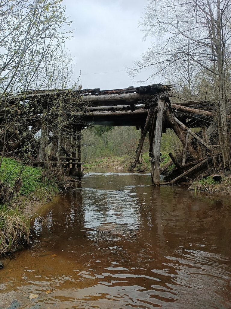 Turistik yerler Деревянный мост в село Спасское, Kostromskaya oblastı, foto