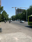 Mirzo-Ulugbek District Prosecutor's Office (Tashkent, Mirzo Ulugbek District, Yangi Olmachi mahalla fuqarolar yig'ini, Mirzo Ulugʻbek koʻchasi), toplu taşıma durağı  Taşkent'ten