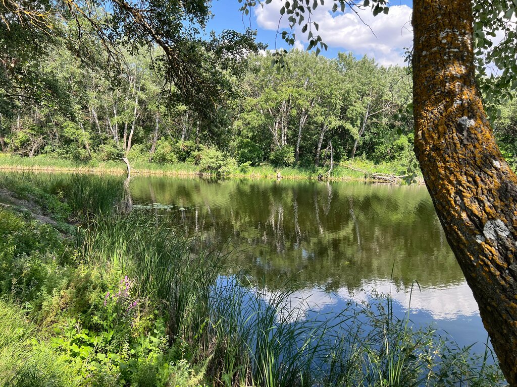 Plaj Пляж, Volgogradskaya oblastı, foto
