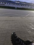 Улица Токтогула (Bishkek, Manas avenue), toplu taşıma durağı  Bişkek'ten