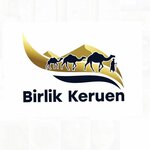 Birlik Keruen (No:26, Mamyr-1 shaǵyn aýdany), lojistik firmaları  Almatı'dan