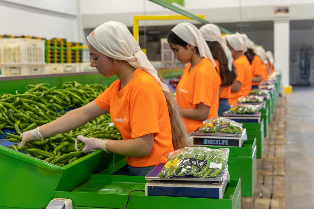 i̇thalat-ihracat firmaları Adalya Dış Ticaret, Antalya, foto