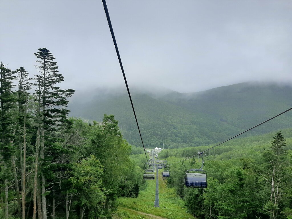 Piknik alanı Place for picnic, Sakhalinsk, foto