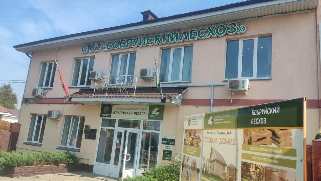 Orman işleri Bobruysky leskhoz, Bobruisk, foto