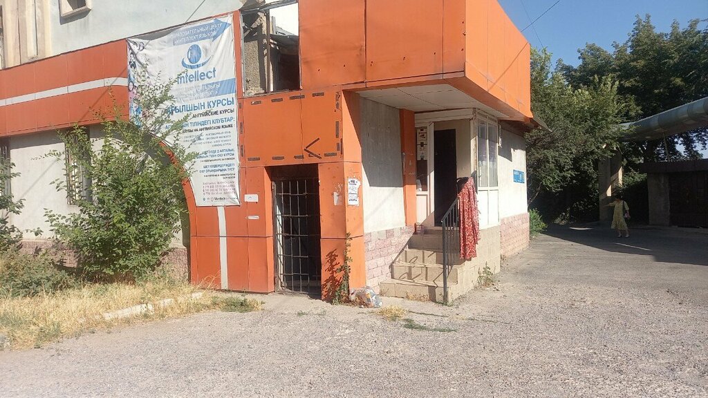 Yabancı dil kursları Intellect, Çimkent (Şımkent), foto