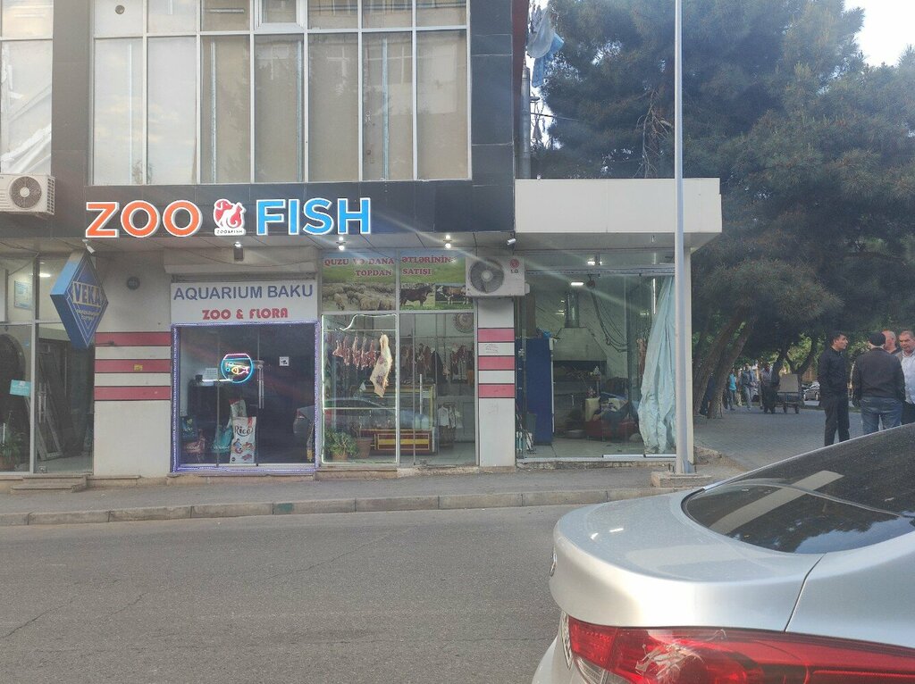 Petshop Zoo&Fish, Bakü, foto