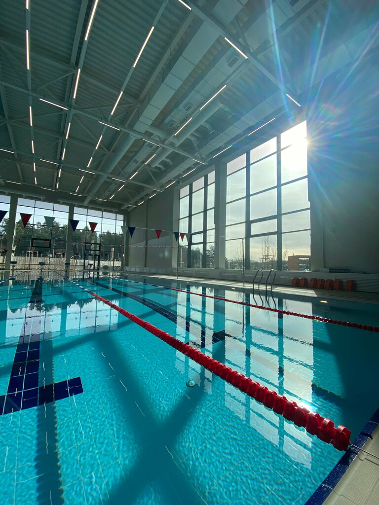 Spor okulları AquaShark Aquatic Academy, Moskova ve Moskovskaya oblastı, foto