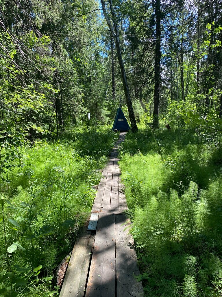 Pınar, çay Дарьин ключ, Yekaterinburg, foto