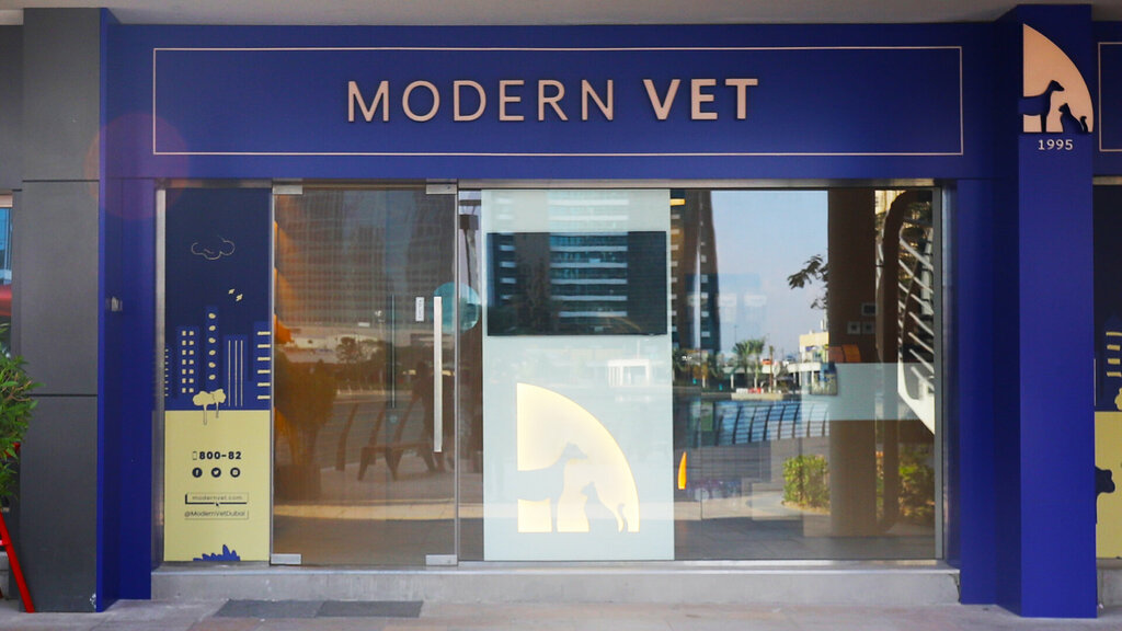 Spa Grooming SPA, Pet Grooming, Groomer, Dubai, foto