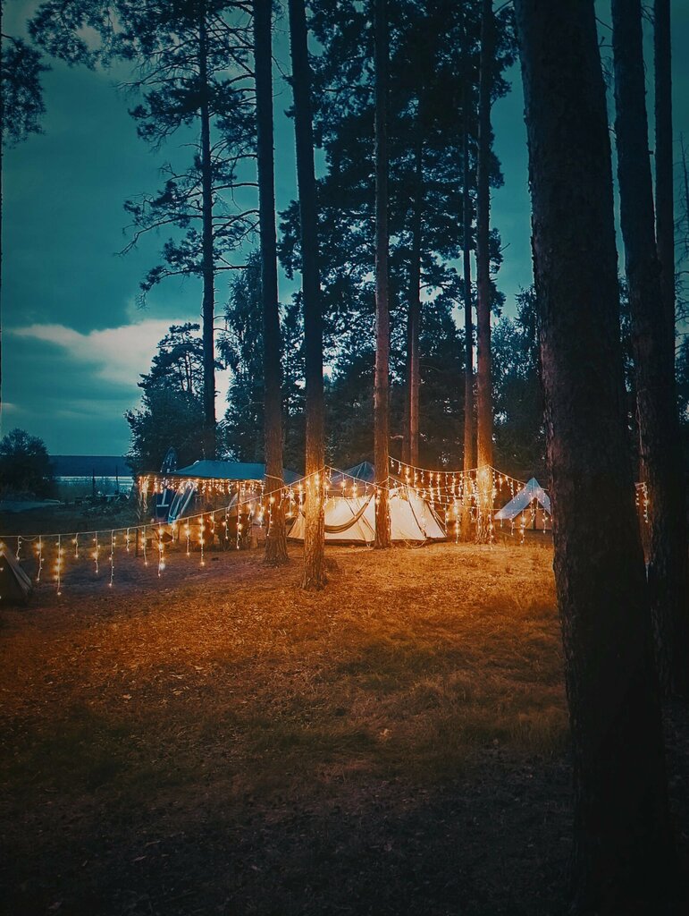 Kamp alanları Кемпинг Algiz, Penzenskaya oblastı, foto