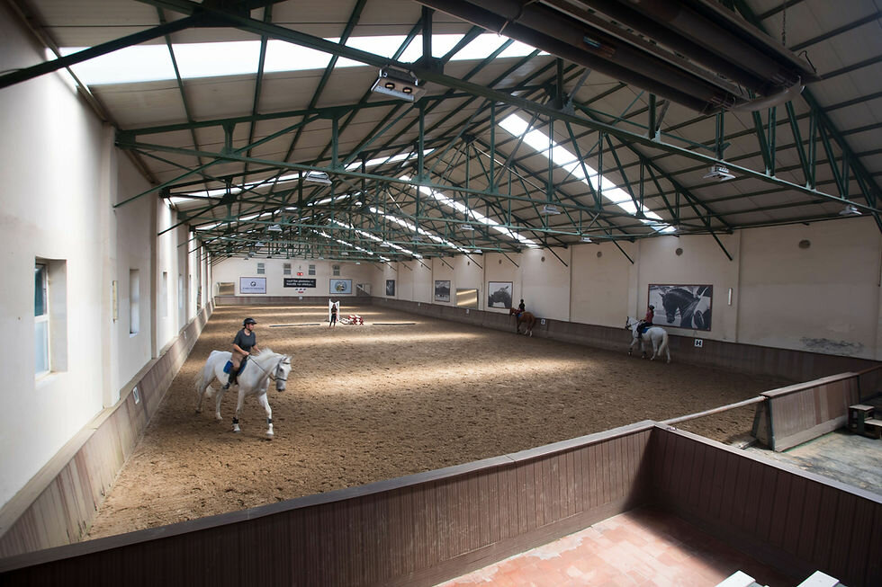 At ve binicilik kulüpleri İstanbul Atlı Spor Kulubü, İstanbul, foto
