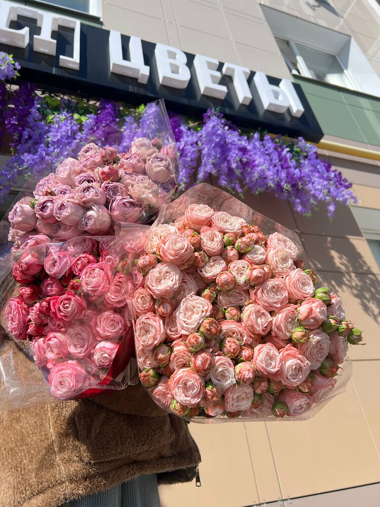 Çiçekçiler D’ali, Gubkinski, foto