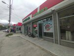 36.6 (Lori Region, Vanadzor, Renaissance Street), eczaneler  Vanadzor'dan