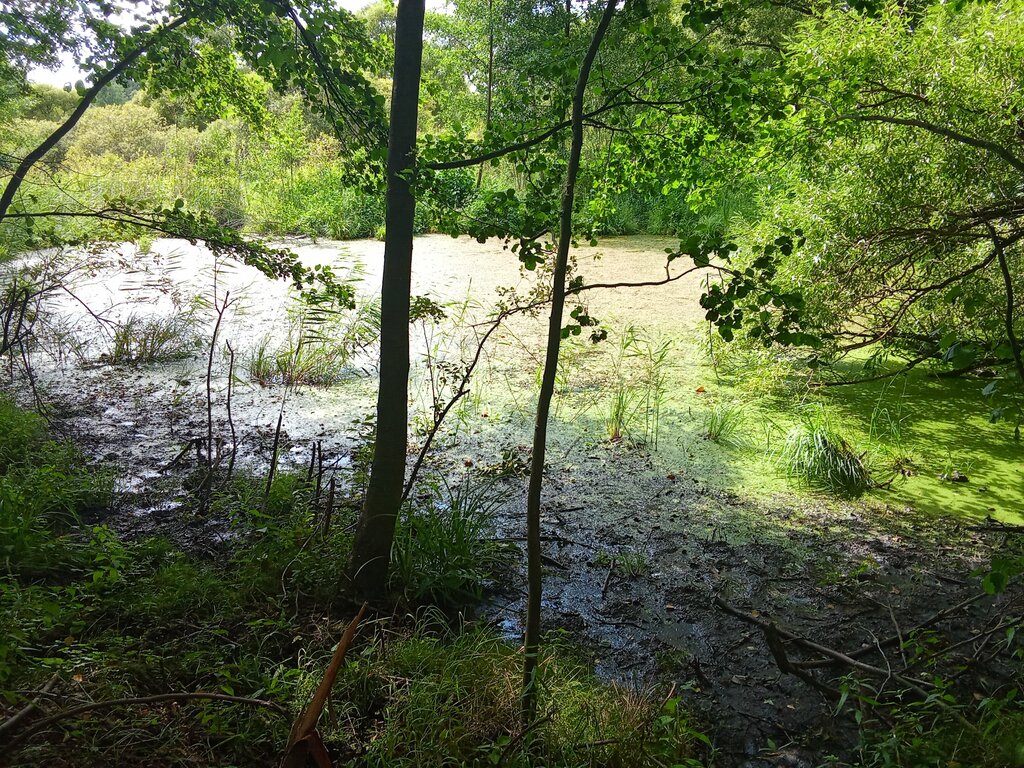 Turistik yerler Достопримечательность, Tambovskaya oblastı, foto