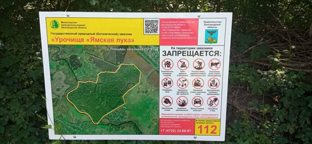 Doğa koruma alanı государственный природный (ботанический) заказник Урочище Ямская лука, Belgorodskaya oblastı, foto