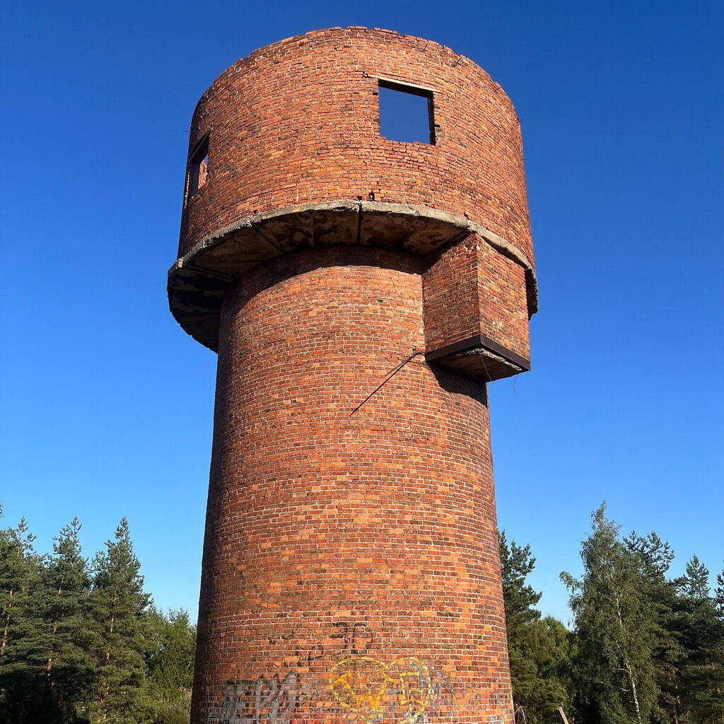 Dağ zirvesi Афонинская гора, Vologodskaya oblastı, foto