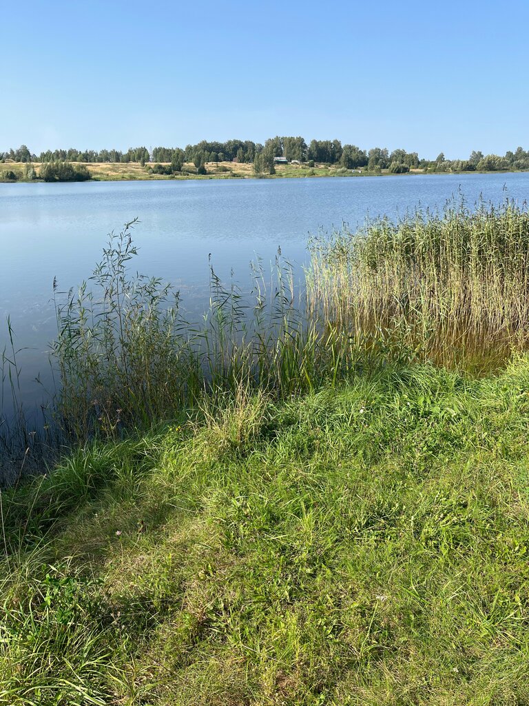 Plaj Пляж, Vitebskaya oblastı, foto