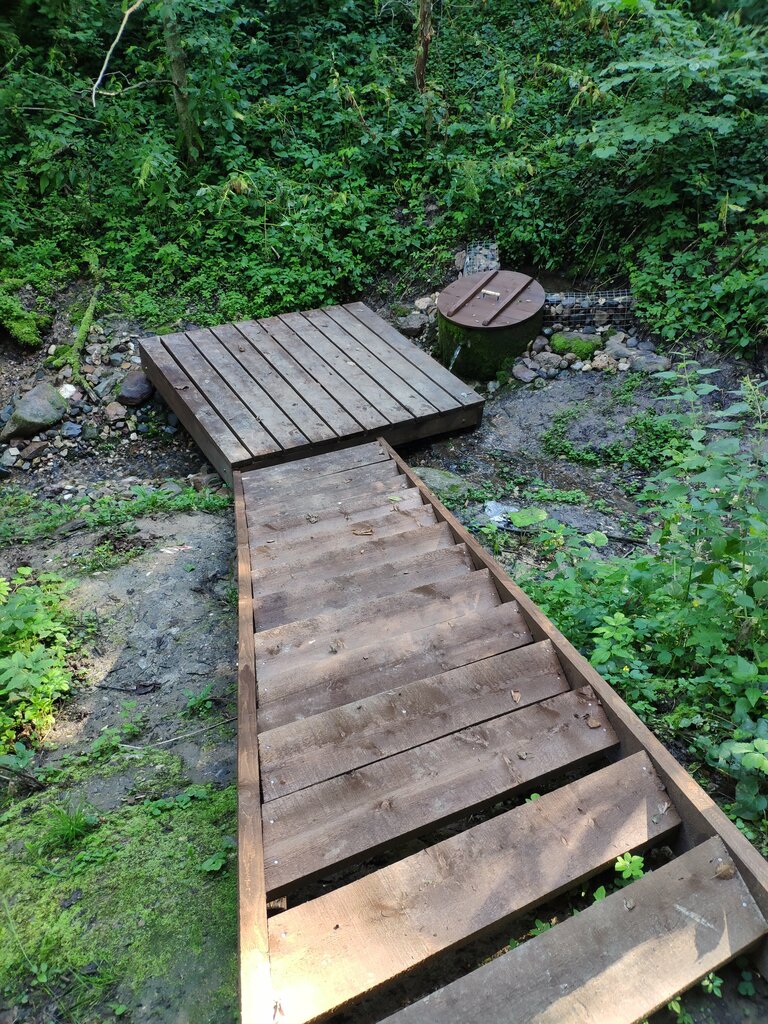 Pınar, çay Spring, stream, Moskova ve Moskovskaya oblastı, foto