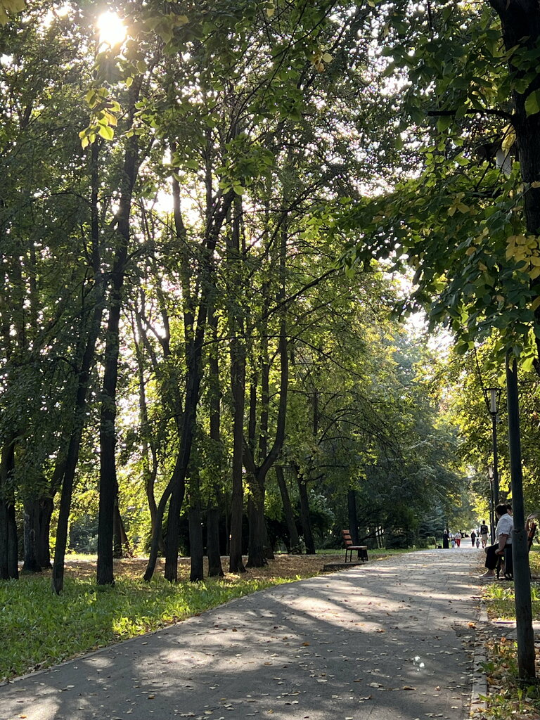Kültür ve eğlence parkları Stroiteley Public Garden, Ulyanovsk, foto