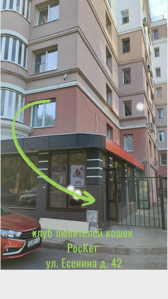 Hayvanat bahçesi merkezi РосКэт, Riazan, foto