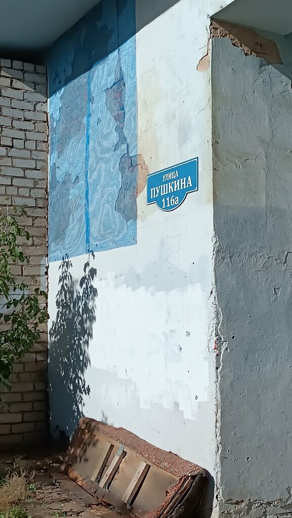 Evcil hayvan yetiştiricileri Питомник Шотландских кошек Muscat, Perm, foto