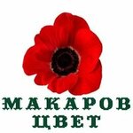 Makarov cvet (Sovetskaya Street No:34), çiçekçiler  Novosibirsk'ten