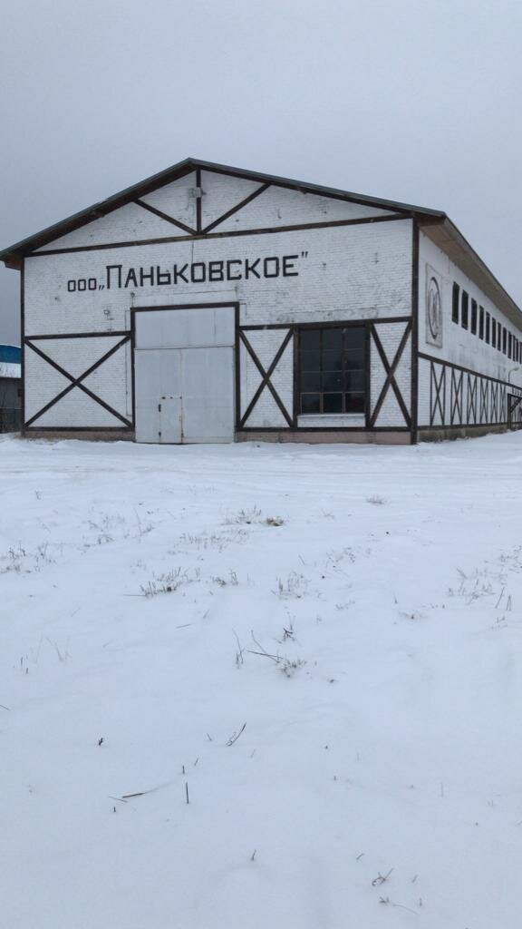 Yazlık ev inşaatı Pankovskoye, Vladimirskaya oblastı, foto