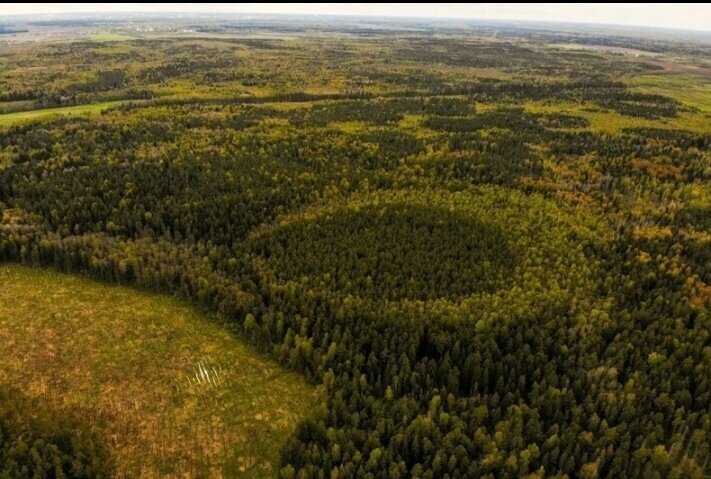Turistik yerler Оршинский лесоглиф, Tverskaya oblastı, foto