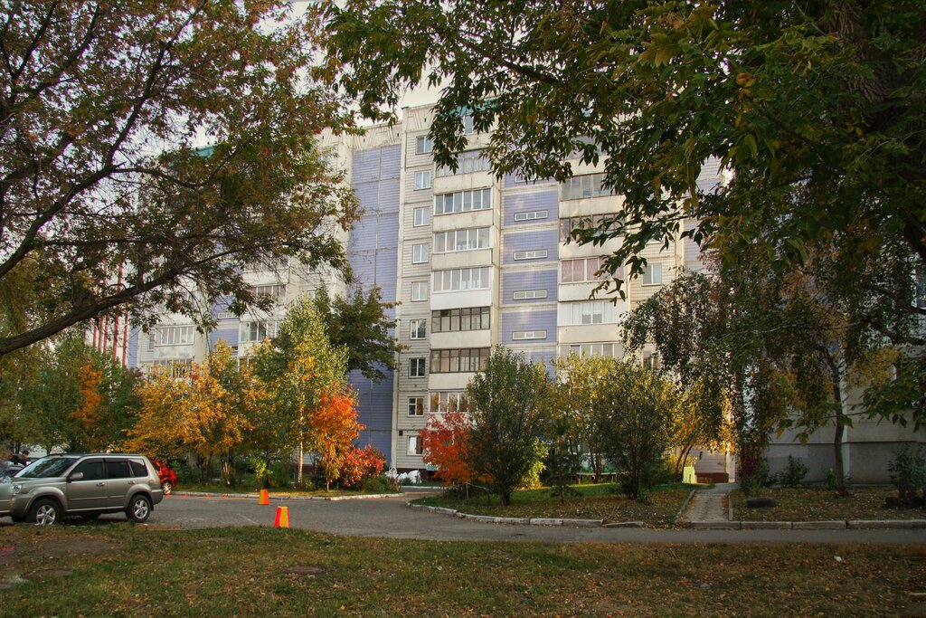 Kısa süreli konaklama Ginger cat, Barnaul, foto