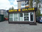 Азалия (Tomsk, Kievskaya Street), çiçek pazarı  Tomsk'tan